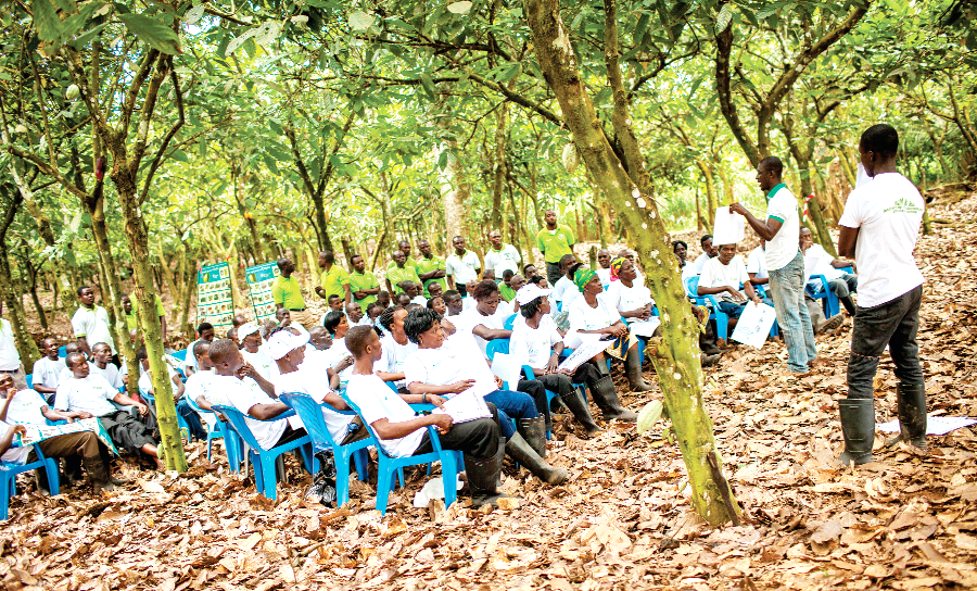 Olam gives US$22m assistance to farmers - The Ghana Guardian News