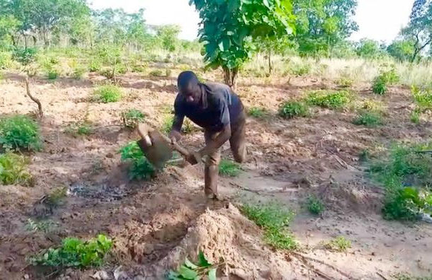 Physically challenged man goes into farming to feed himself and aged ...