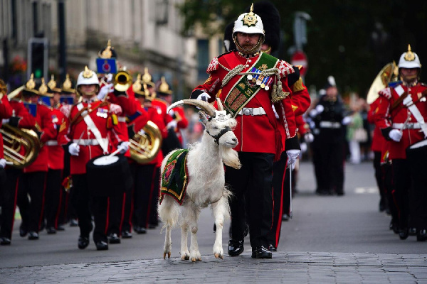 Why a goat led the procession when Charles was officially proclaimed ...
