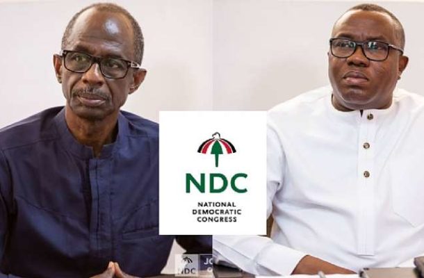 See list of all NDC candidates vying for national executive positions ...